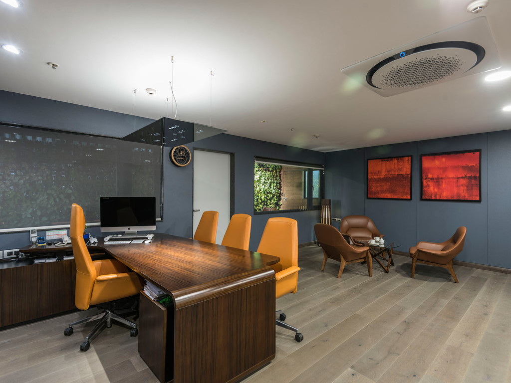 Pune Metagraph, Veekas Studio - Pune